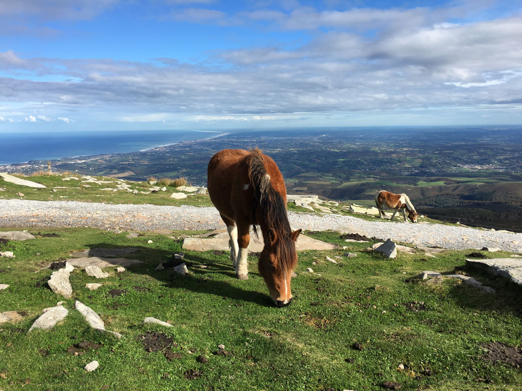 Le Train de la Rhune
