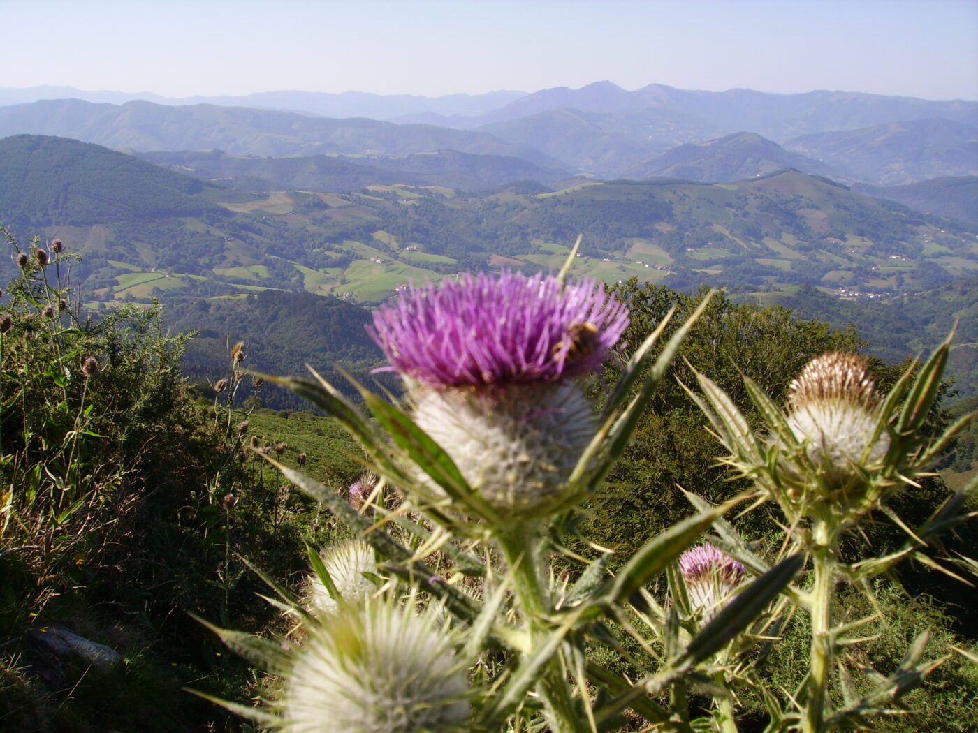 HORAIRES ET TARIFS - Le Train de la Rhune